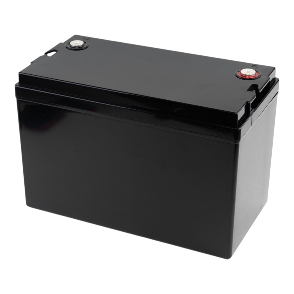12V 100Ah LiFePO4 DIY Battery Kit with Smart BMS
